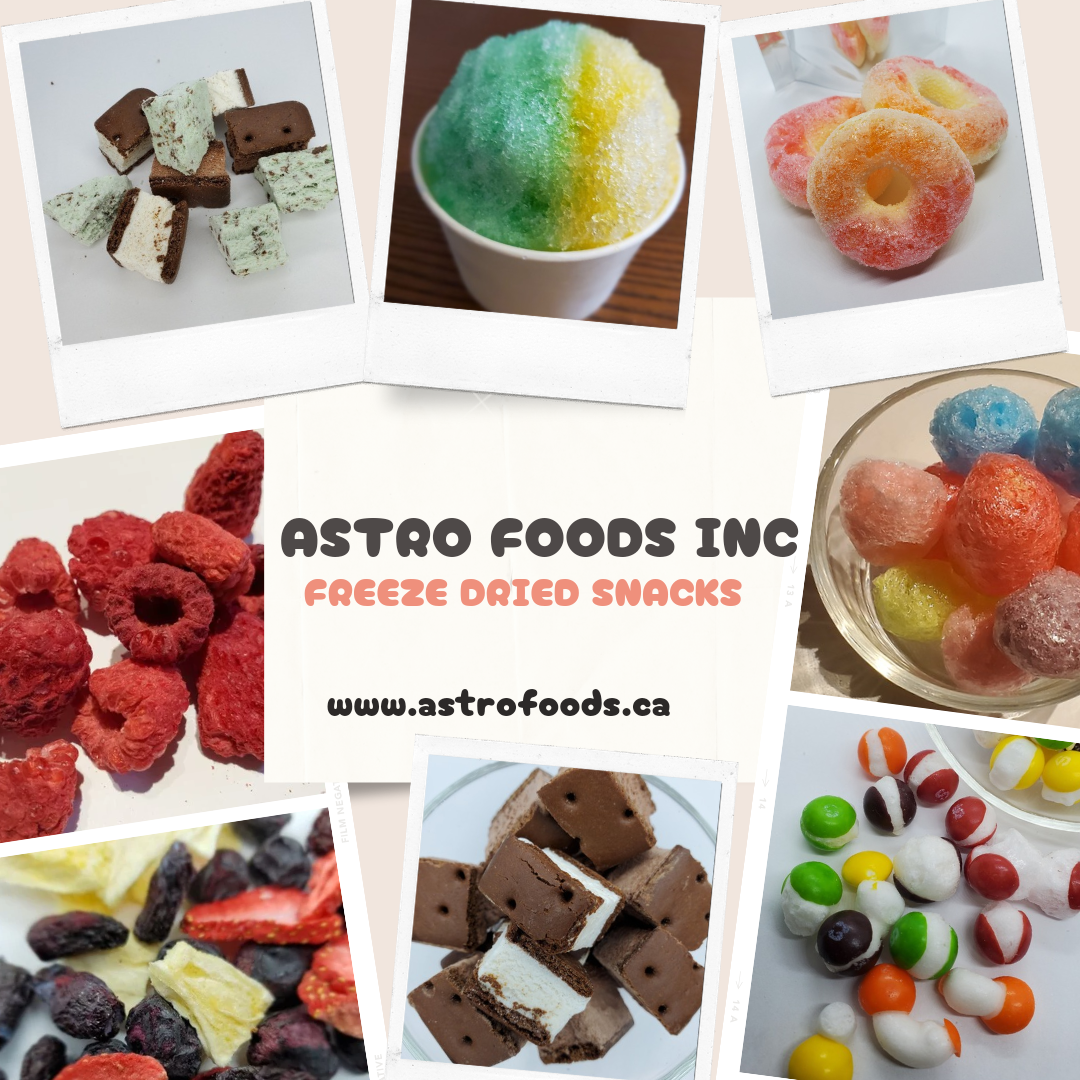 Astro Foods – Nikkei Matsuri